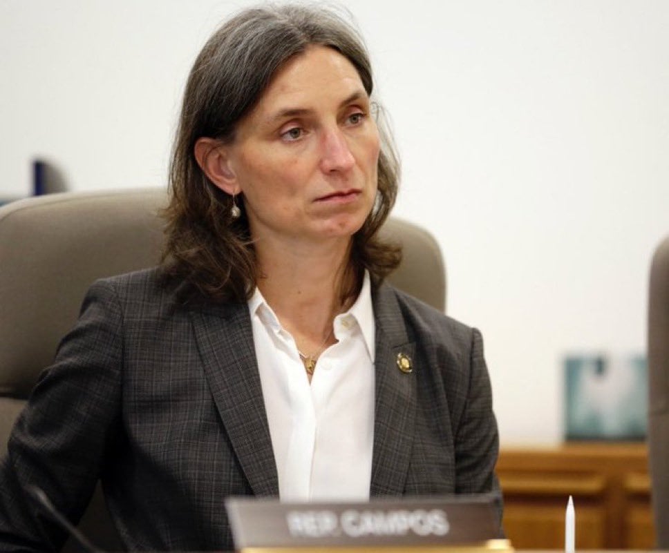 Democrat Rep. Maxine Dexter says she will not leave El Salvador until ...