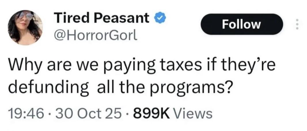 Good Question. Why are we paying taxes? - Peter Theil